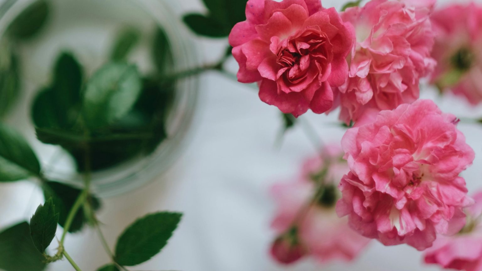 Who Can Inherit if There is no Will – Intestacy Rules - Level